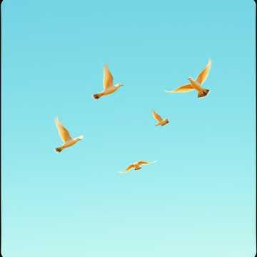 Free AI Music Extender: Lengthen Your Tracks with AI | AISonify